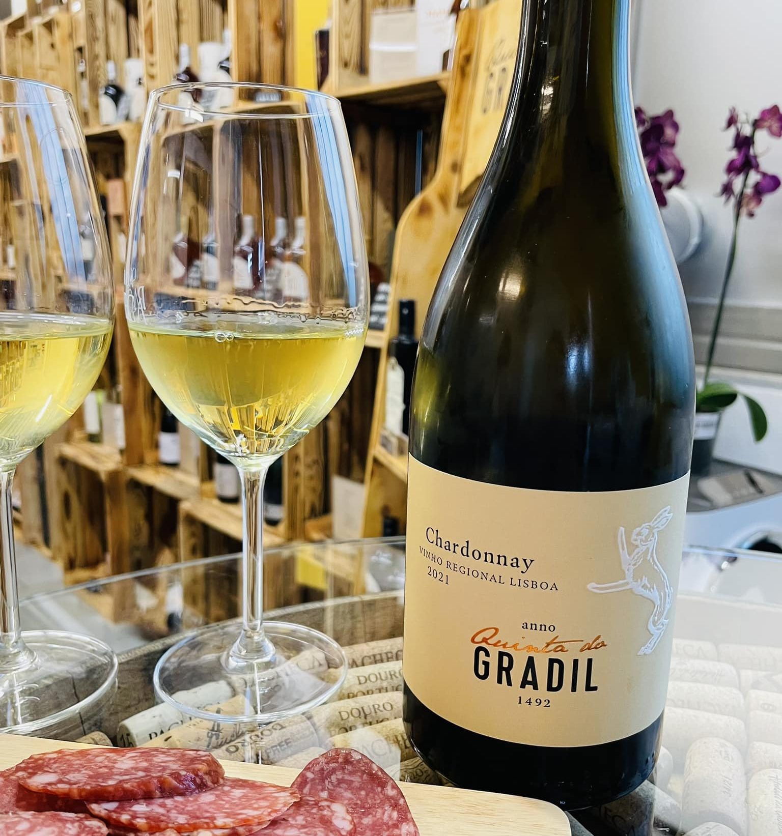 Besuchen Sie uns! - NordWine